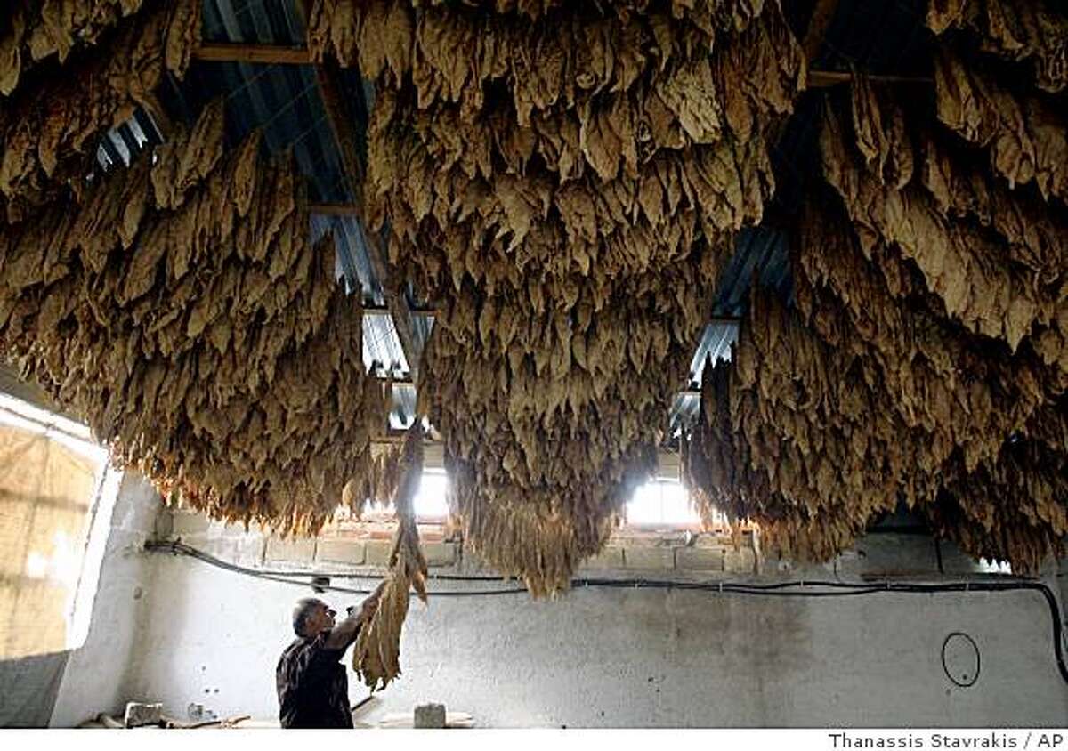 With help from Cuba, Greek cigar sales rise