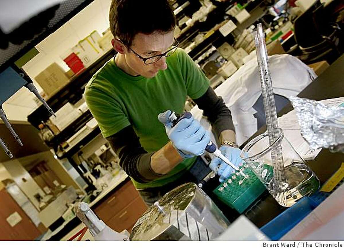 Stem cell approval cheered in California