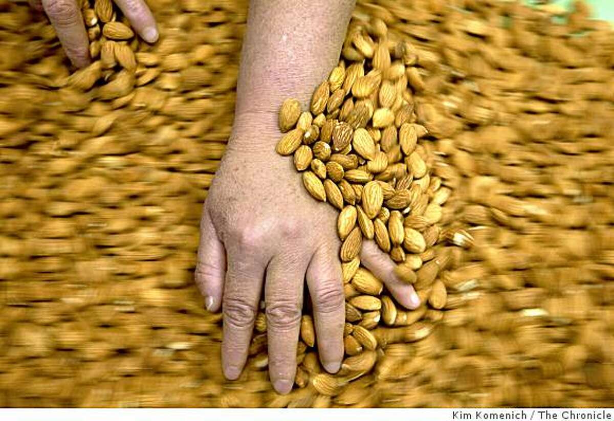 California almond industry feeling the squeeze