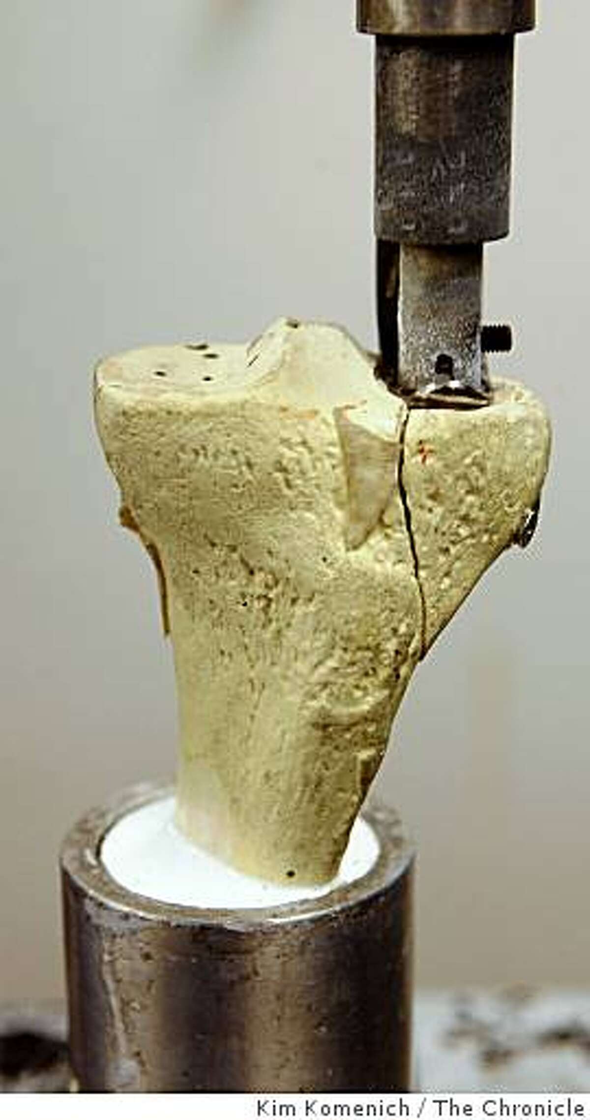 UCSF lab uses cadaver parts for research