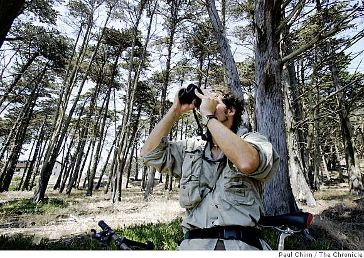 San Francisco is a bird watcher's paradise