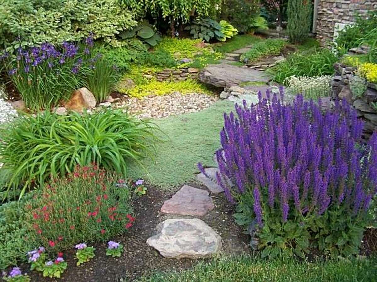 Add color to your garden