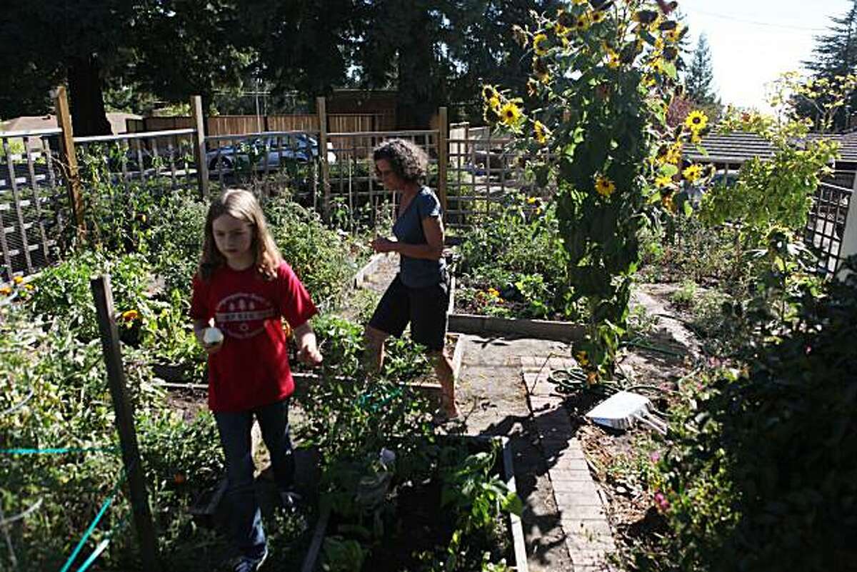 Gail Machlis' shared garden in Berkeley