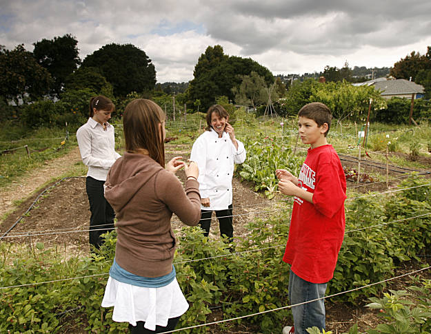 School meals study provides food for thought