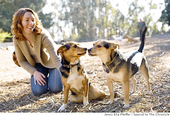 Litter reunion's of little moment to mutts