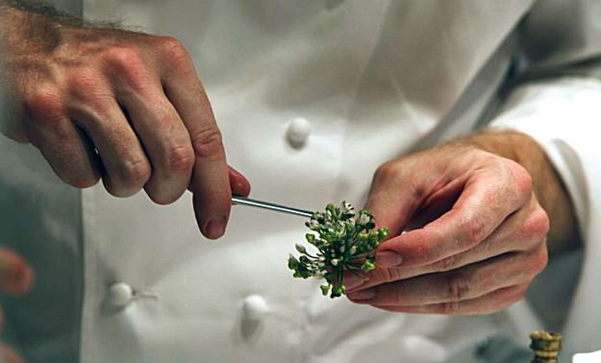 How French Laundry's chefs reach for the stars