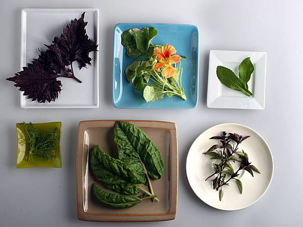 Grow a mix of specialty herbs for the kitchen