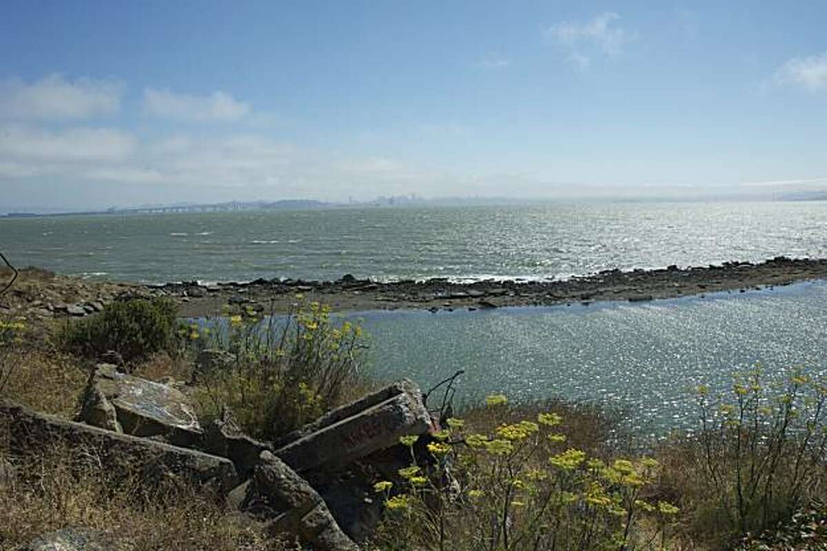 Where to see the Bay Area's wildflowers