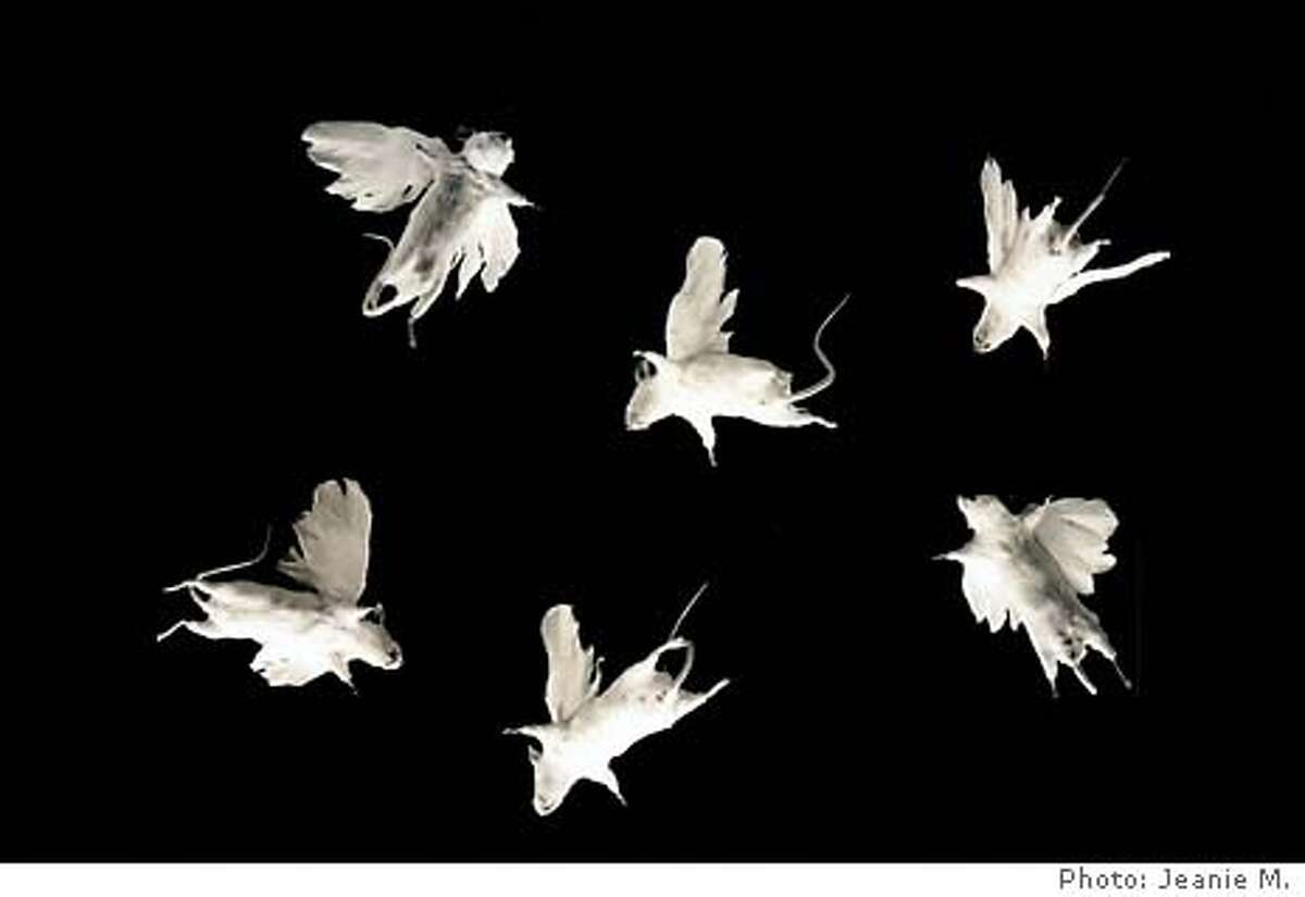 The Art of Dead Mice