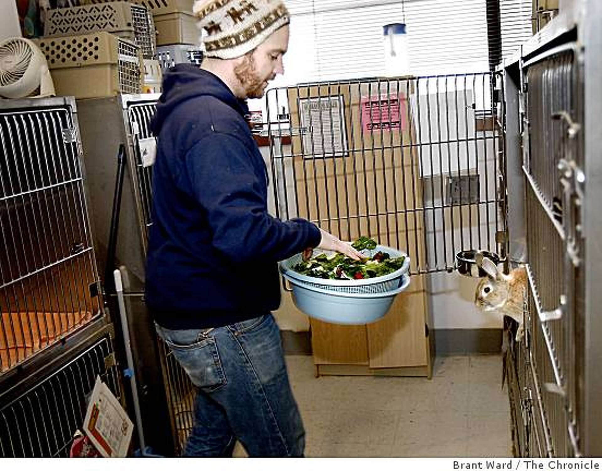 New Web site a network for nonprofits