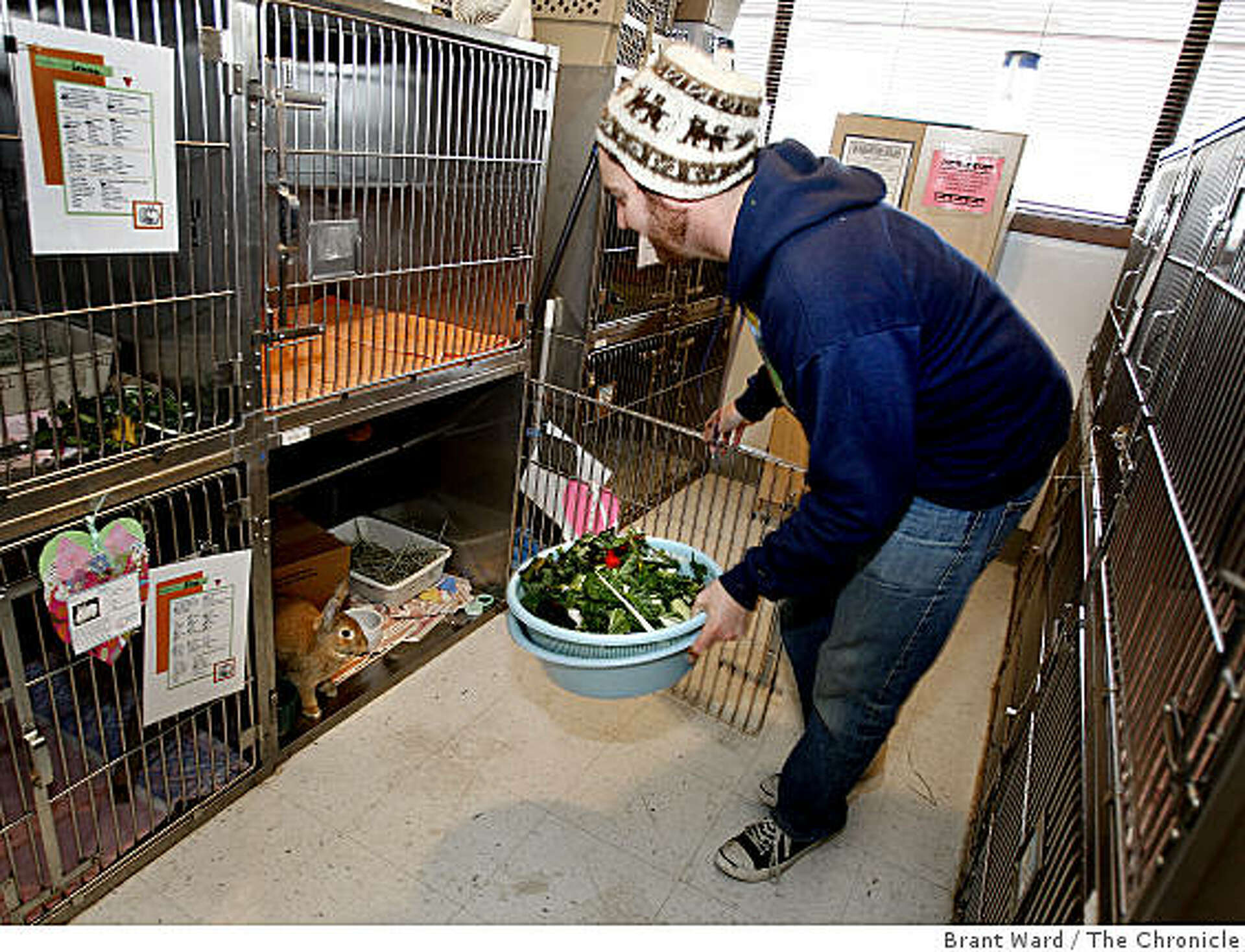 New Web site a network for nonprofits