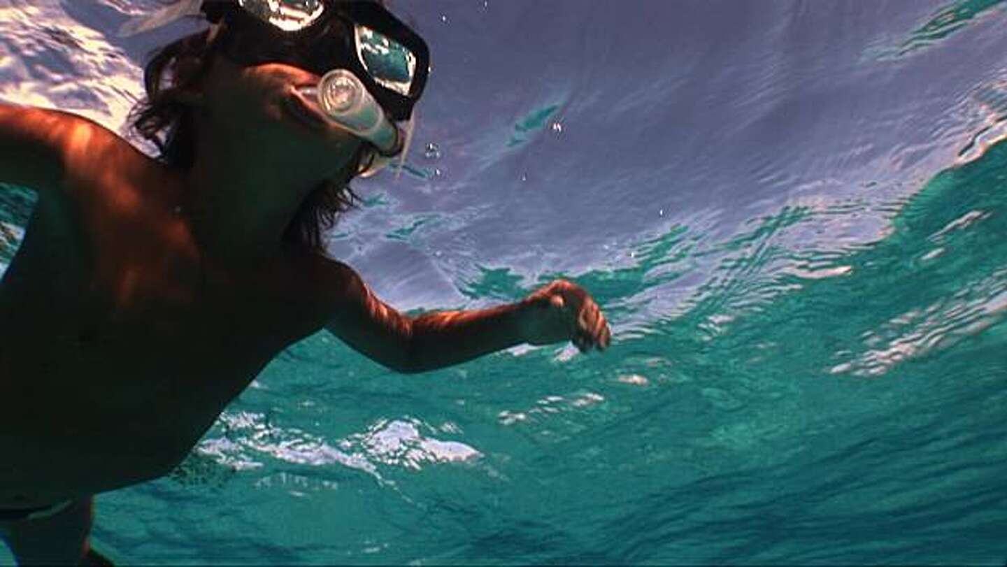 Review: Father-son 'Alamar' splashed with sun