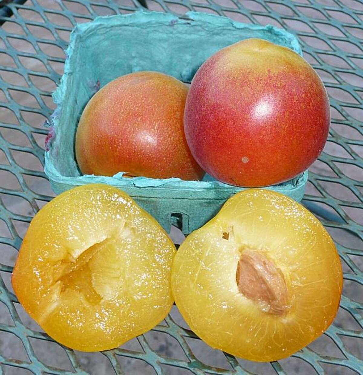 Peacotum - a triple treat from the garden
