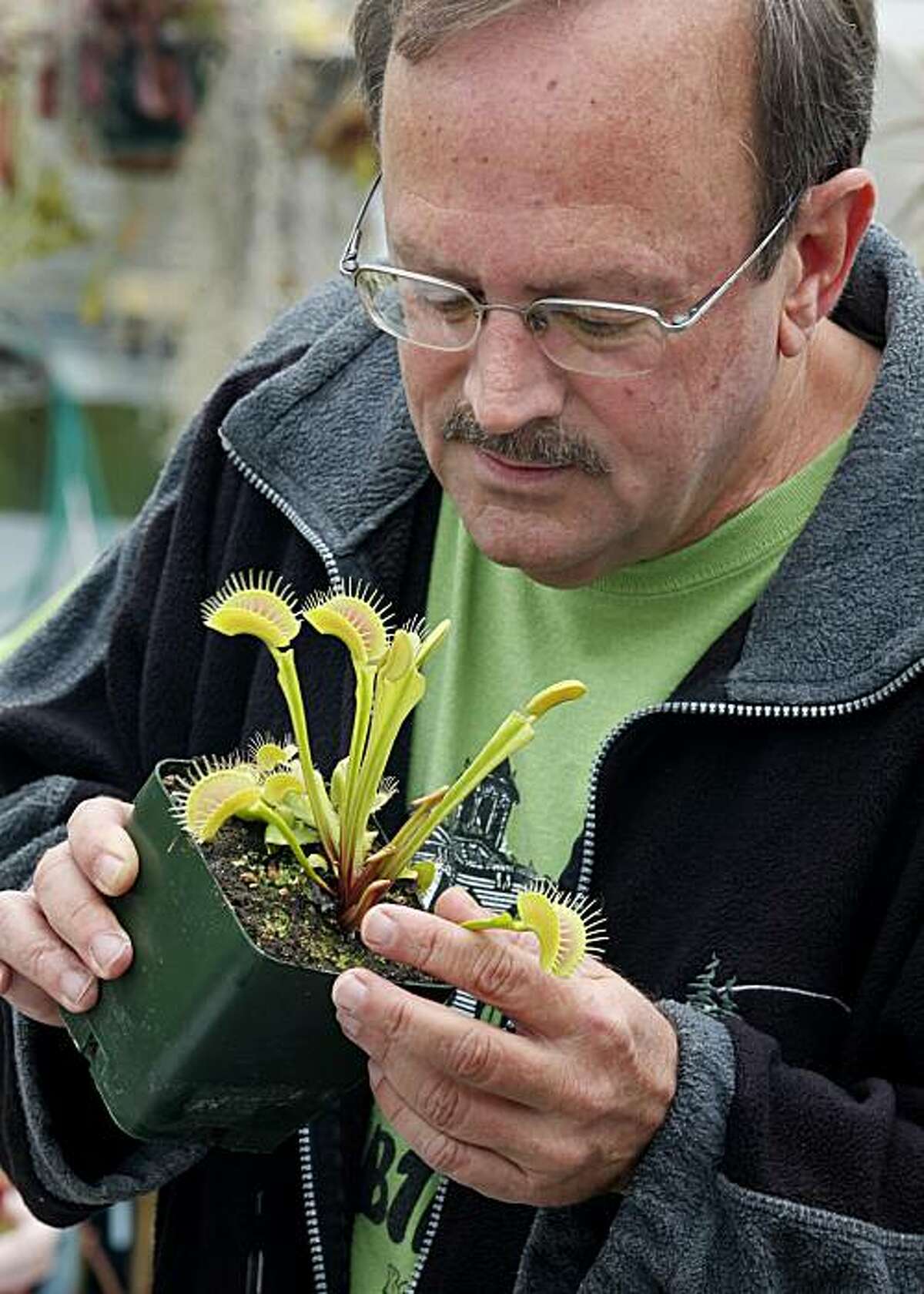 Snared by a taste for carnivorous plant life