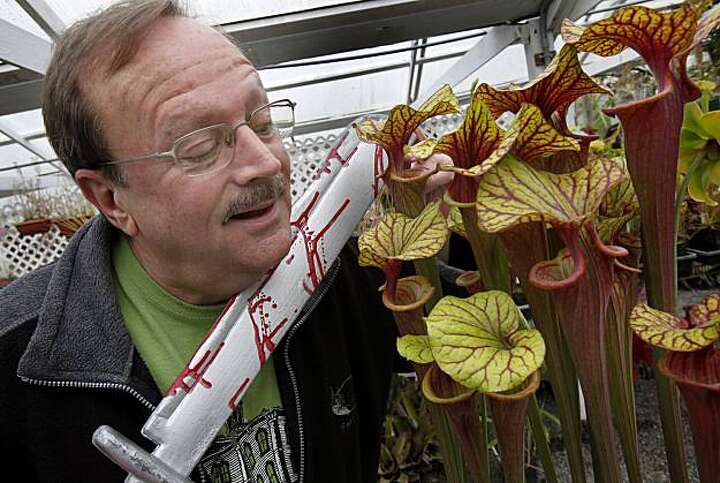 Snared by a taste for carnivorous plant life
