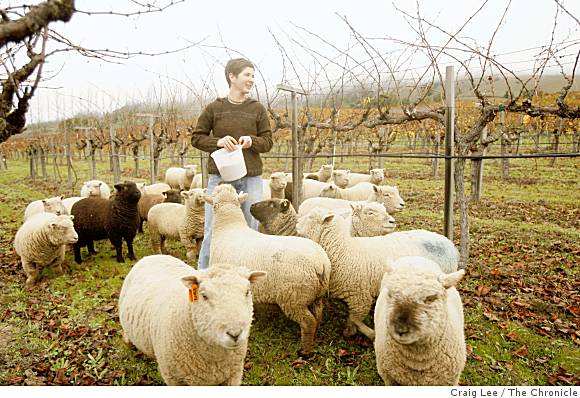 Winemakers to Watch: Sarah Cahn Bennett and Aaron Cahn Bennett