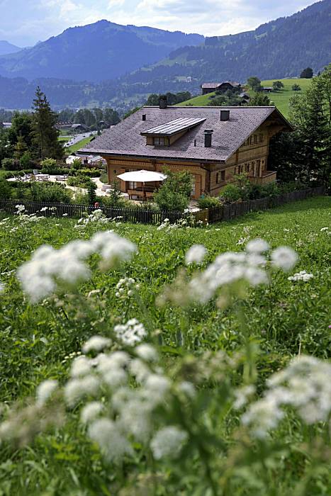 Swiss court sets Roman Polanski free