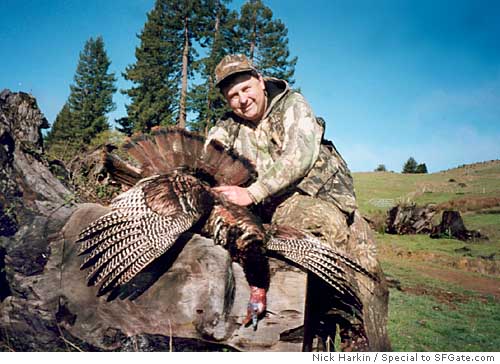 Wild Turkey For Thanksgiving?