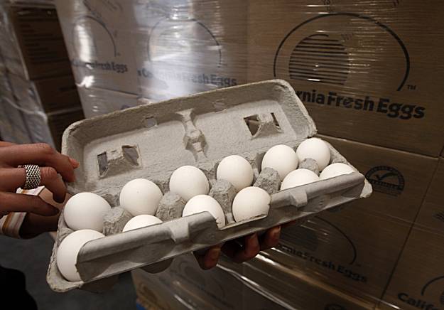 Law extends state's egg mandates to imports