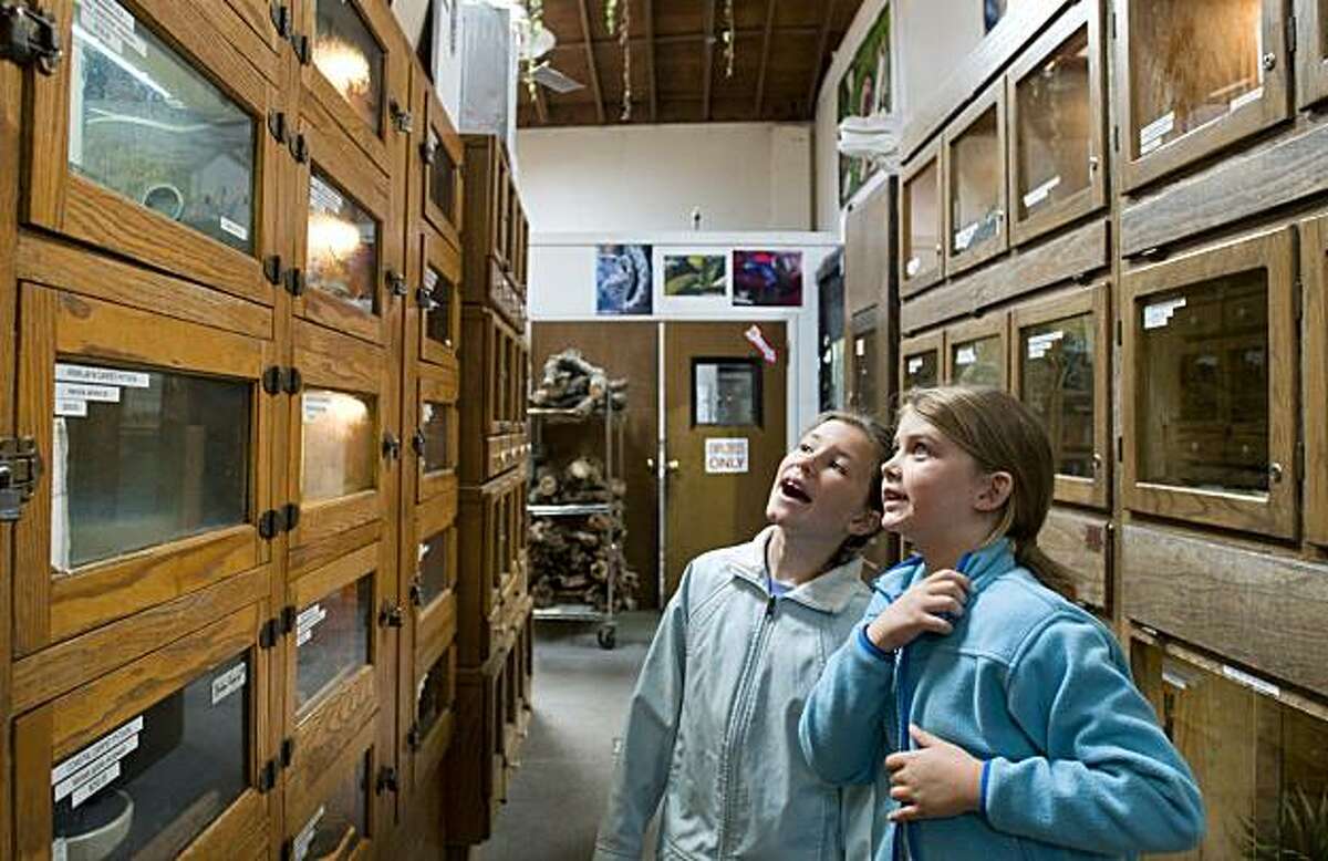 40 years of slithering surprises at Vivarium