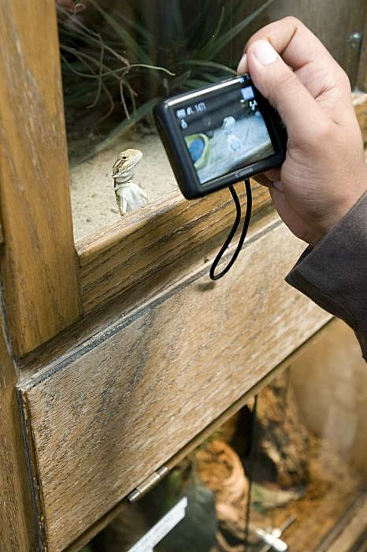 40 years of slithering surprises at Vivarium