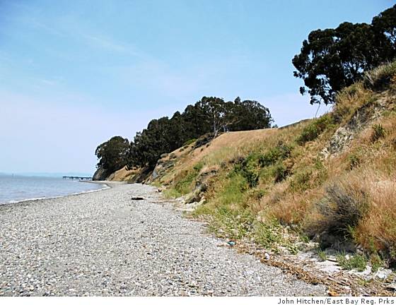 Point Pinole is perfect for exploring by bicycle