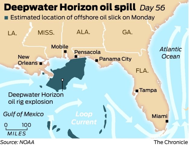 Dems see gulf oil crisis as chance for change