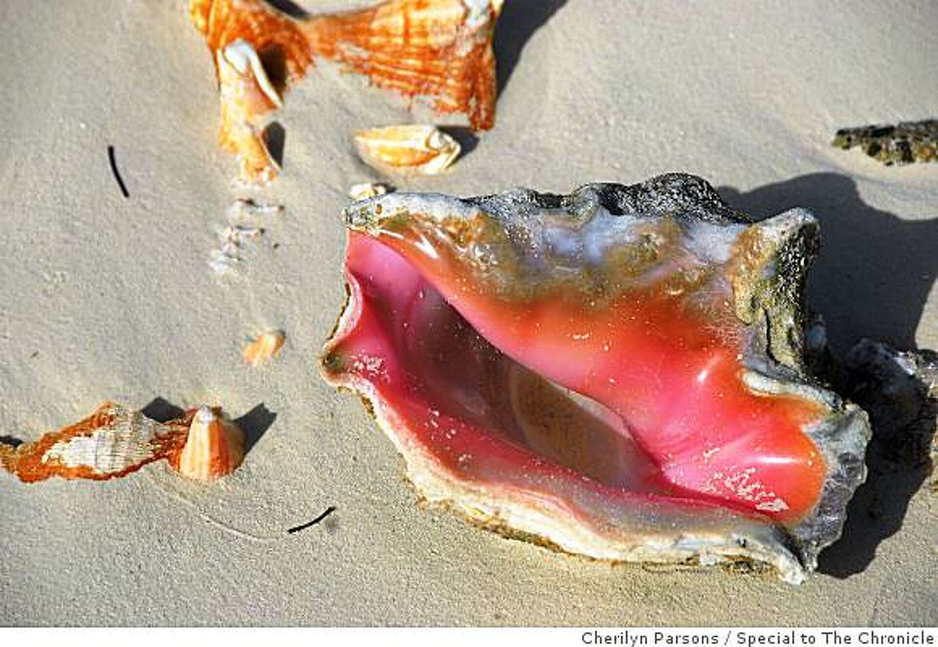 How traveler found a Personal Recovery Package