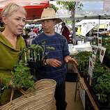 Tomato Gals expand their empire - SFGate