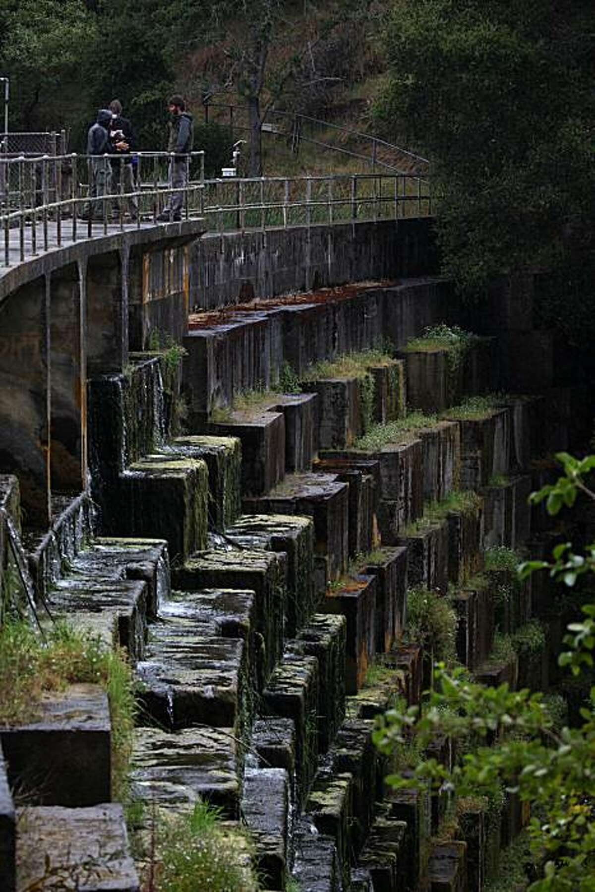 Fight looms over removal of Searsville Dam