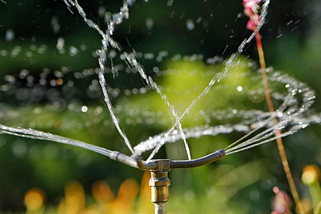 Californians willing to save water, poll finds