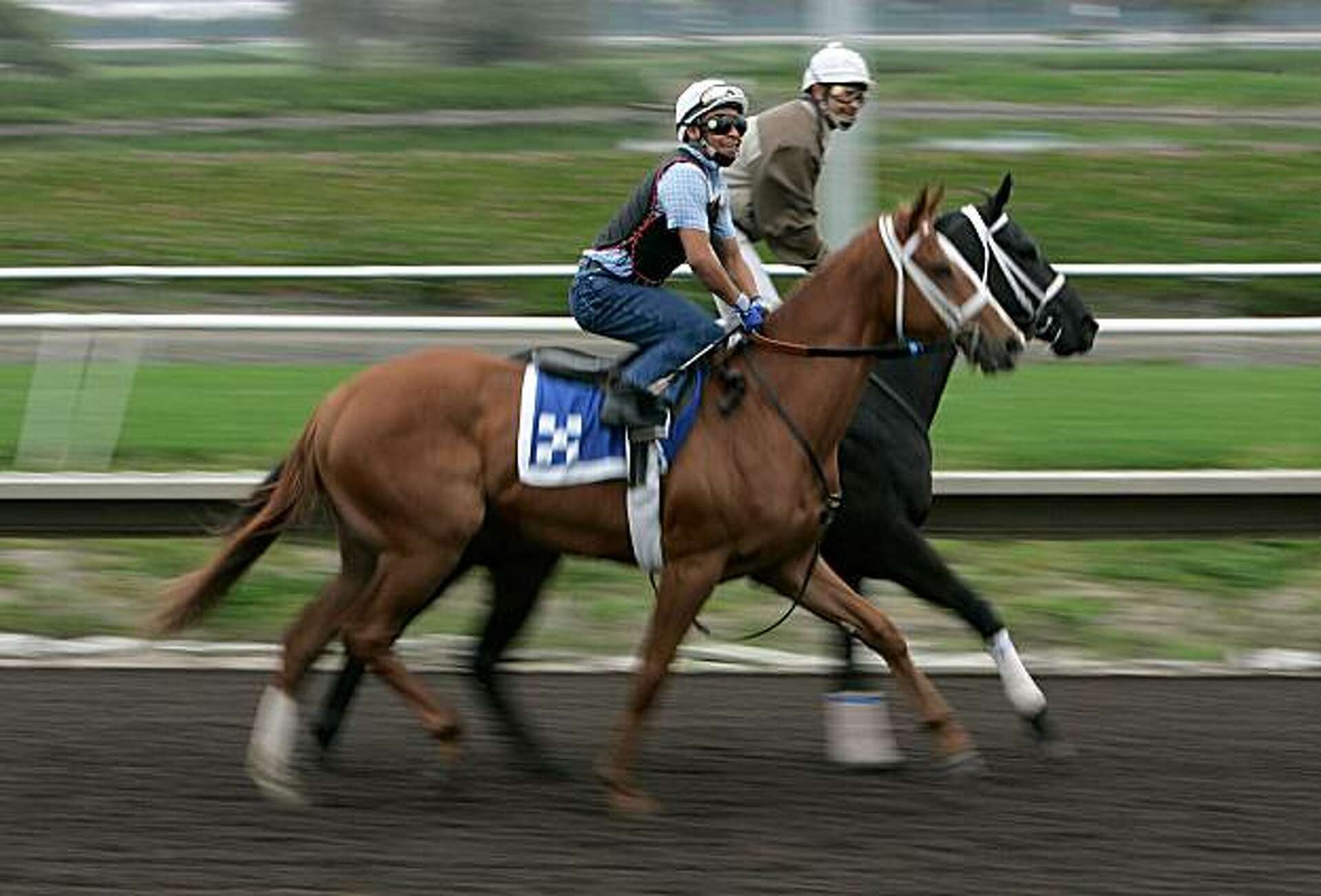 Jockey rises from Bay Area deli to Preakness win