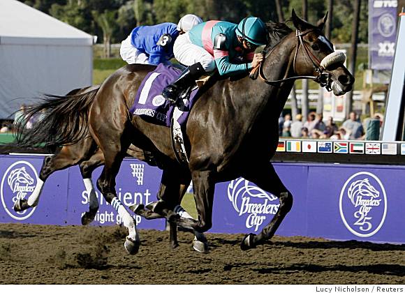 Zenyatta's comeback gives Curlin competition for top horse