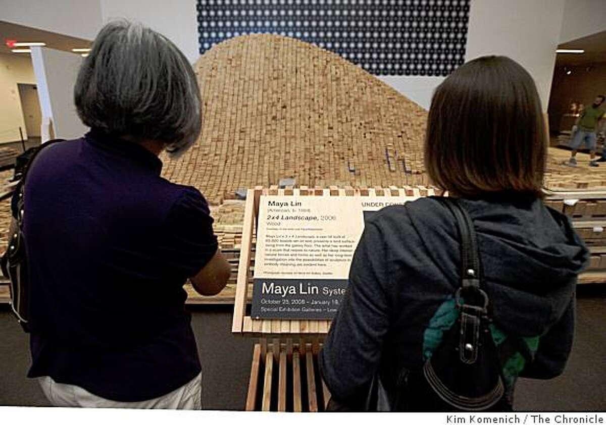 Maya Lin looks at nature - from the inside