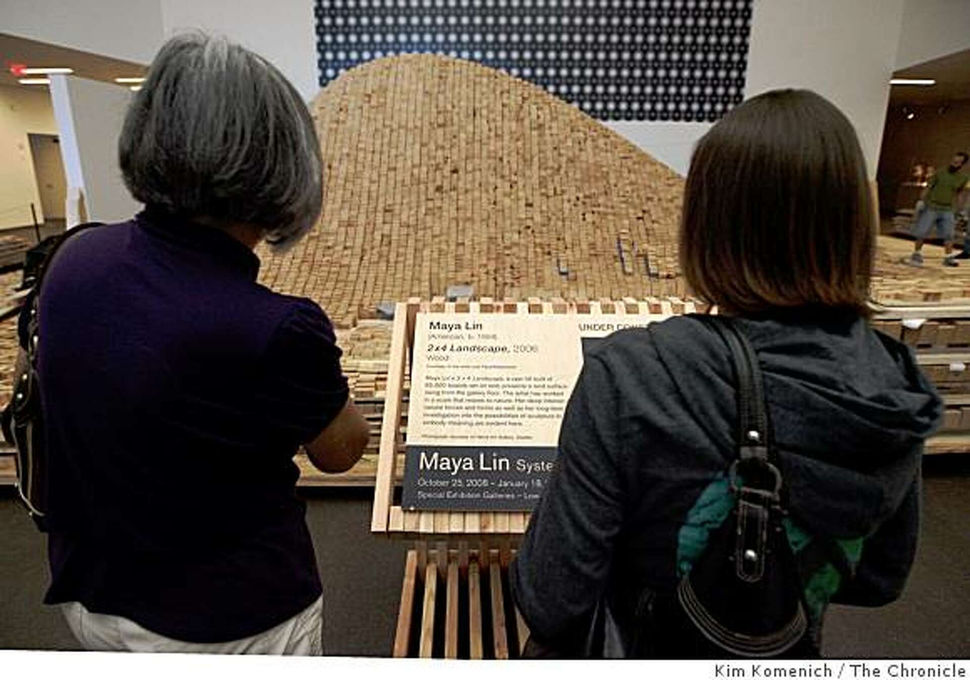 Maya Lin looks at nature - from the inside