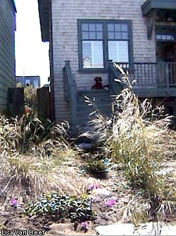 Your Homemade Sand Dune / How to recreate the outer Richmond, circa 1884