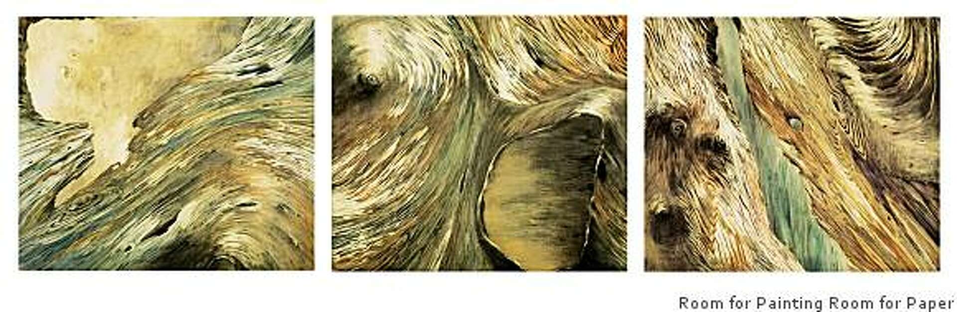 Judith Belzer has a feel for the natural world