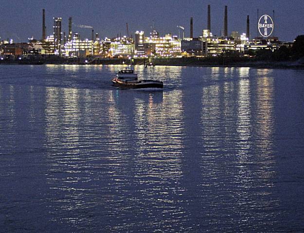 Bayer expects brighter year as profit leaps 63%