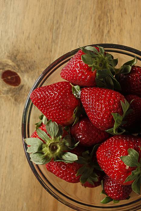 How to use spring's bounty