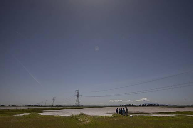 Solano County lake a refuge for native species