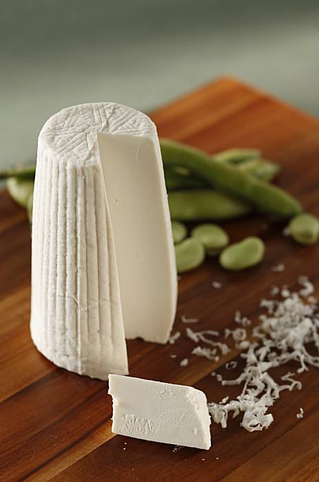 Young ricotta stagionata seduces with texture