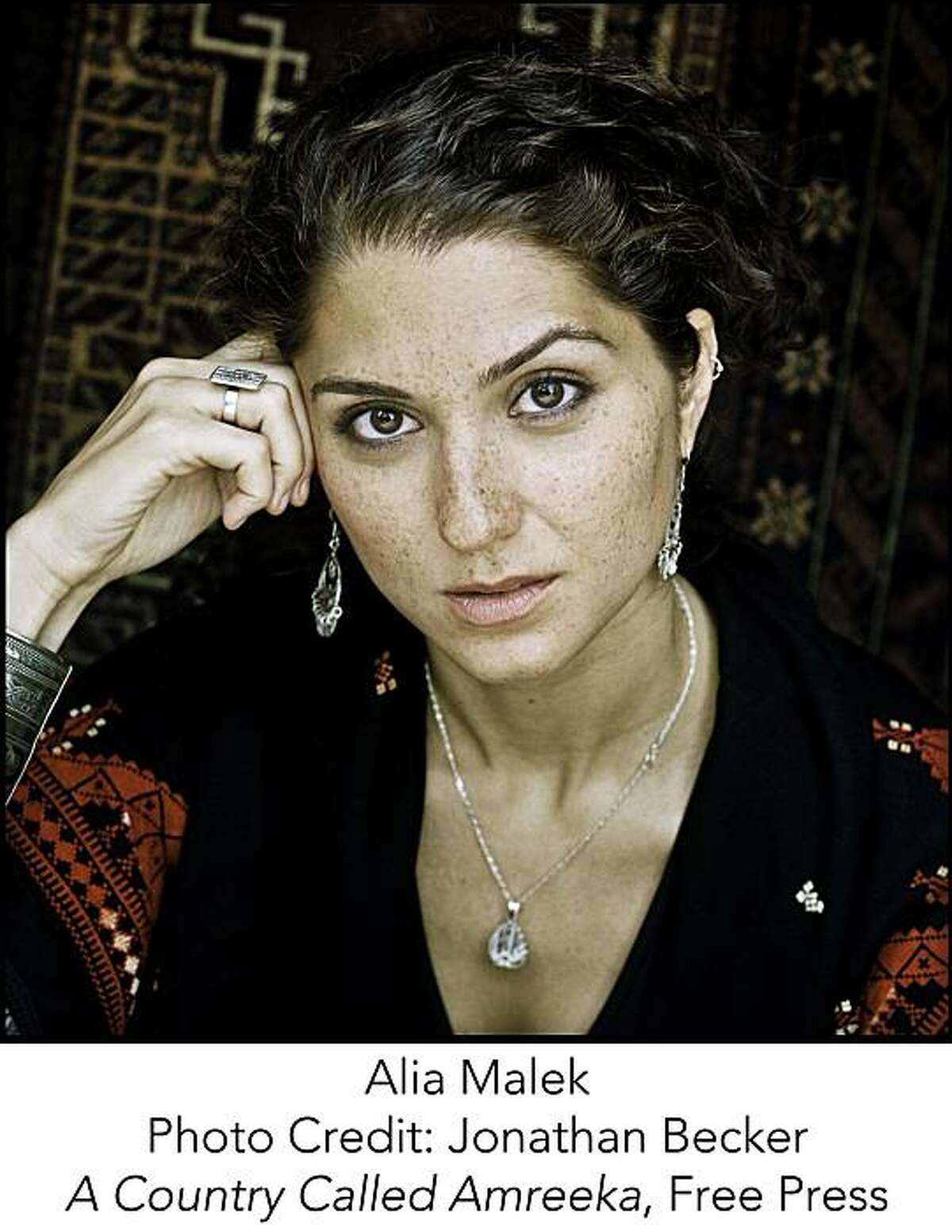 'A Country Called Amreeka,' by Alia Malek