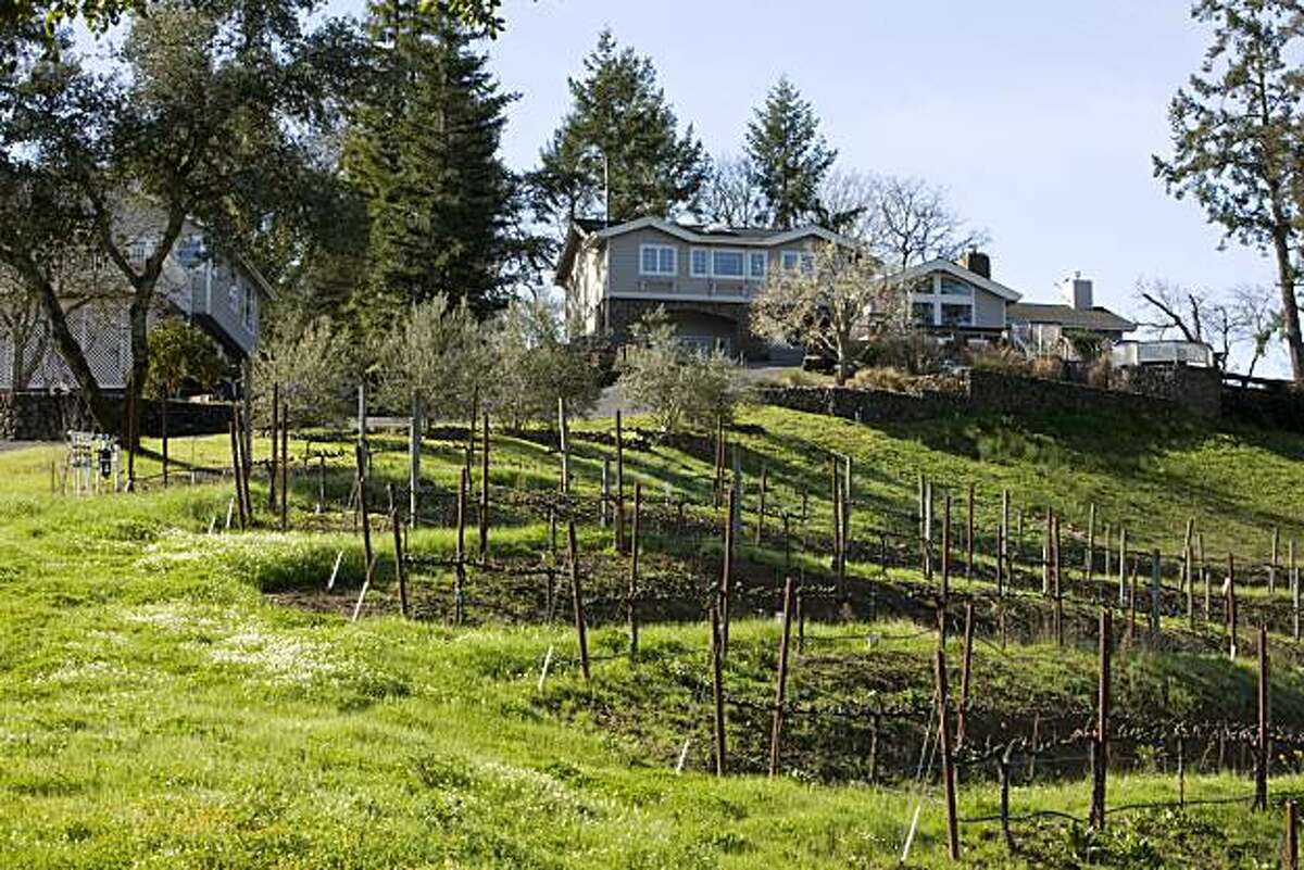 Wine Country estate with vineyard