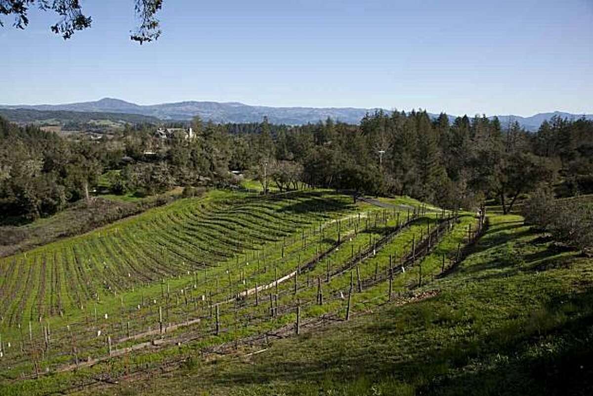 Wine Country estate with vineyard