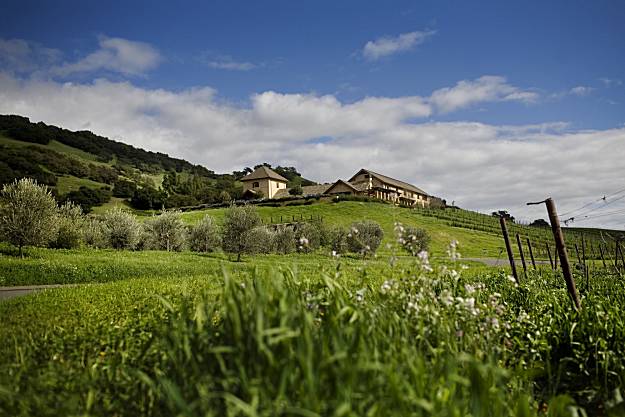 A peak experience - Carneros wines with a view