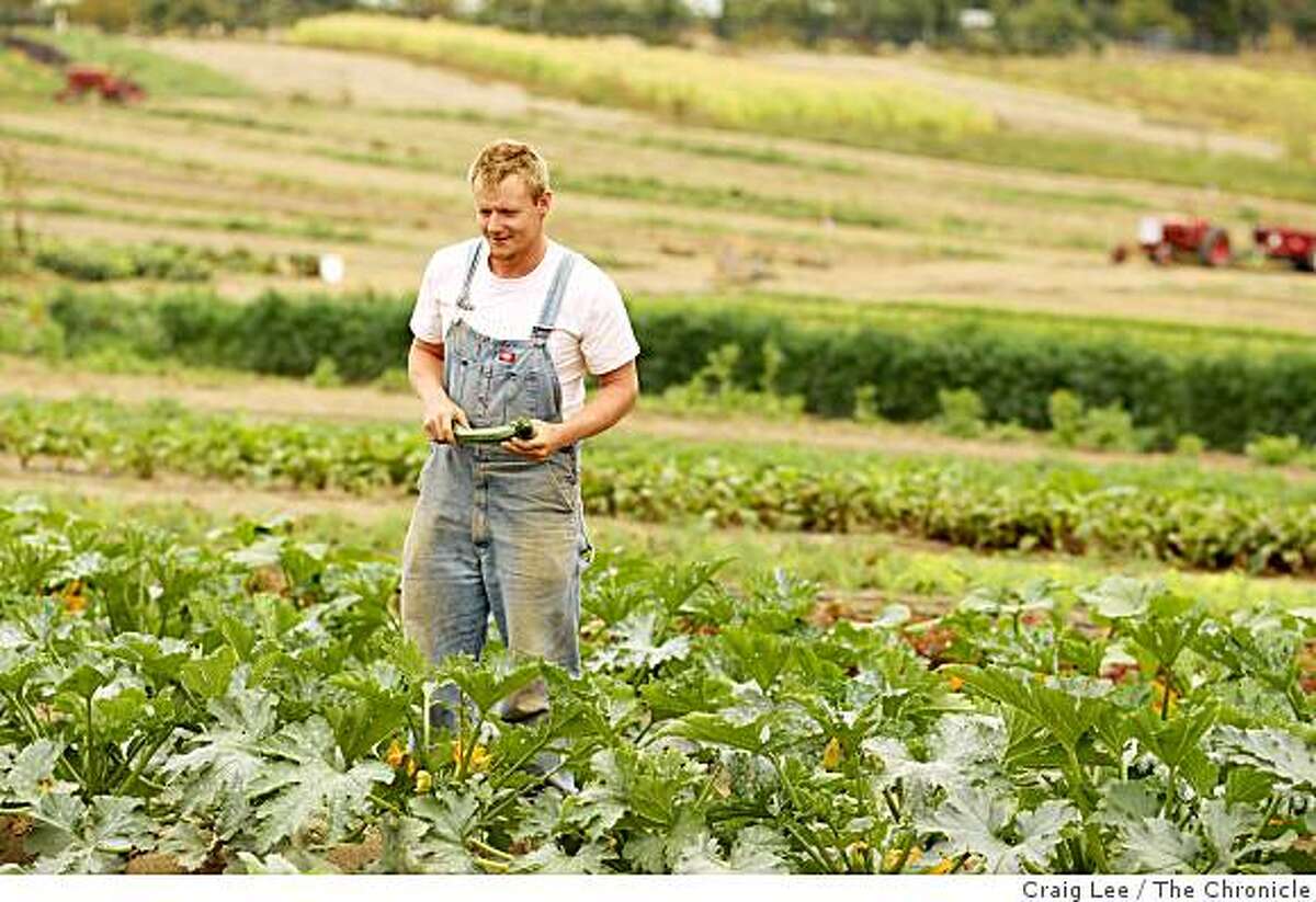Food Conscious: Farmers recruit combat veterans