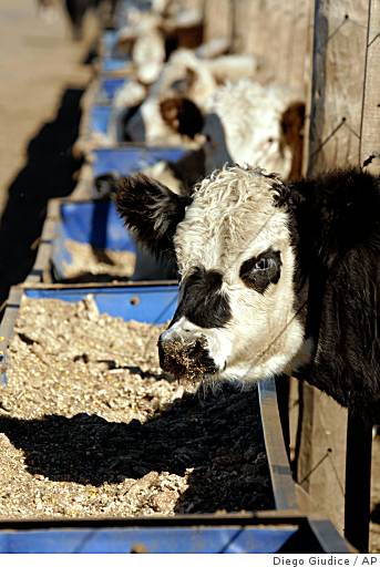 Food prices threaten famed Argentine beef