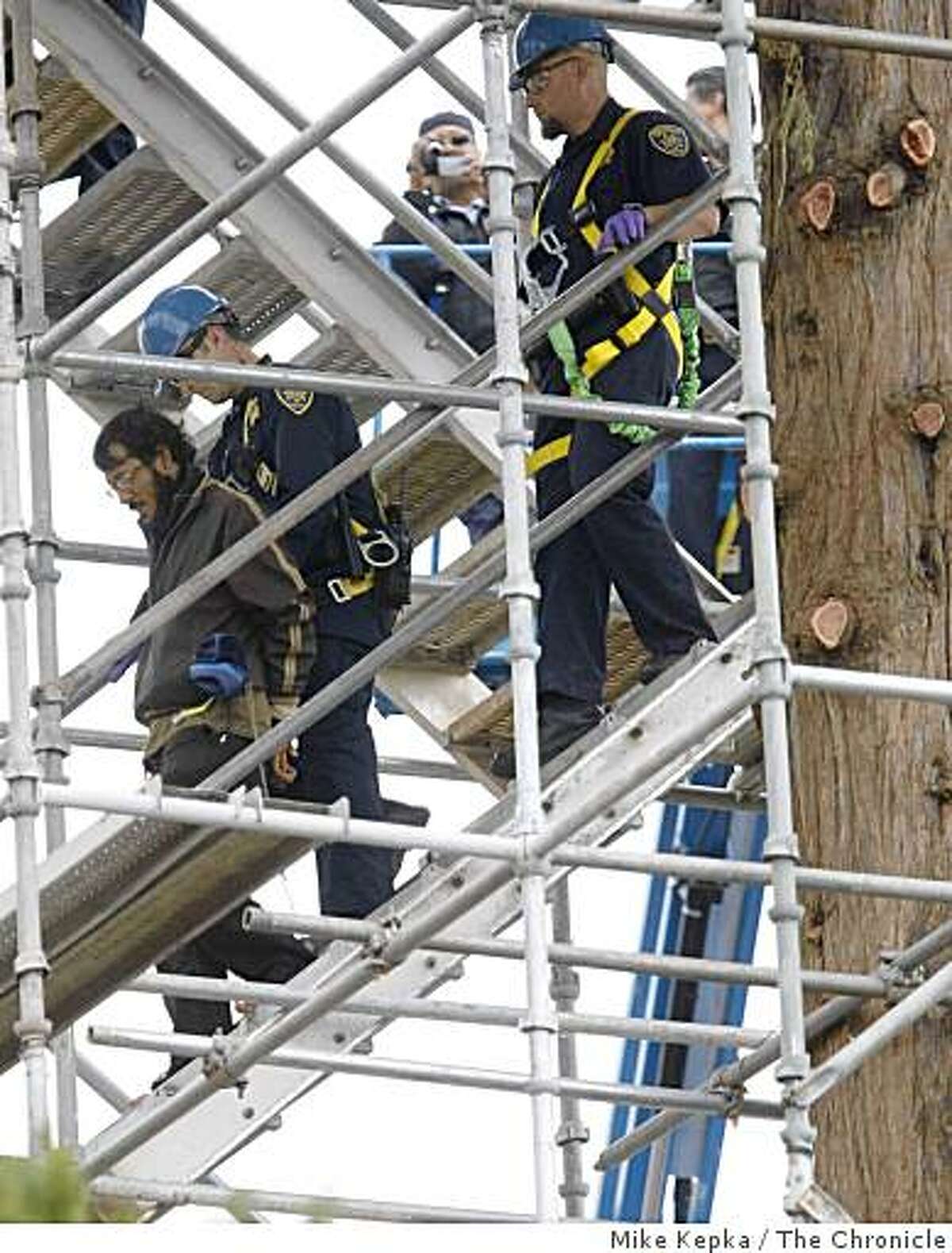 Berkeley tree-sitters finally down to earth