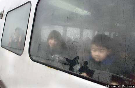 Pesky but Popular / Party celebrates sea lions' arrival at Pier 39 a ...