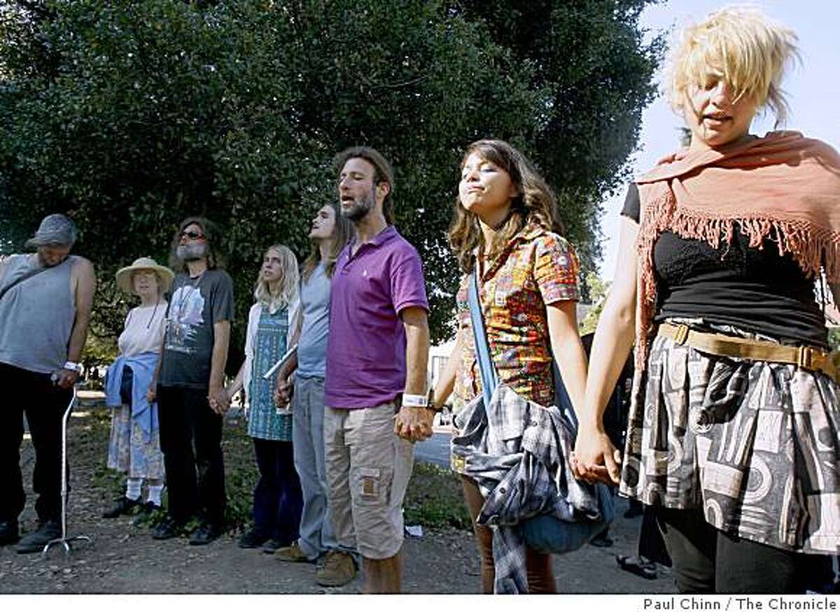 UC Berkeley grove cleared of most trees